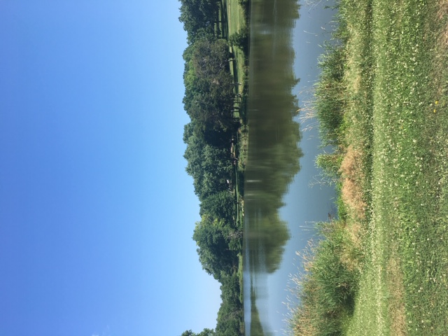 Page County | Conservation